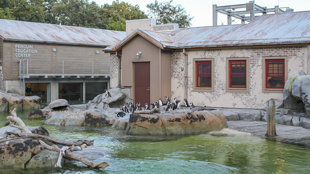 The Maryland Zoo in Baltimore | TCLF