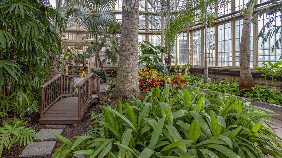 The Howard Peters Rawlings Conservatory and Botanic Gardens | TCLF