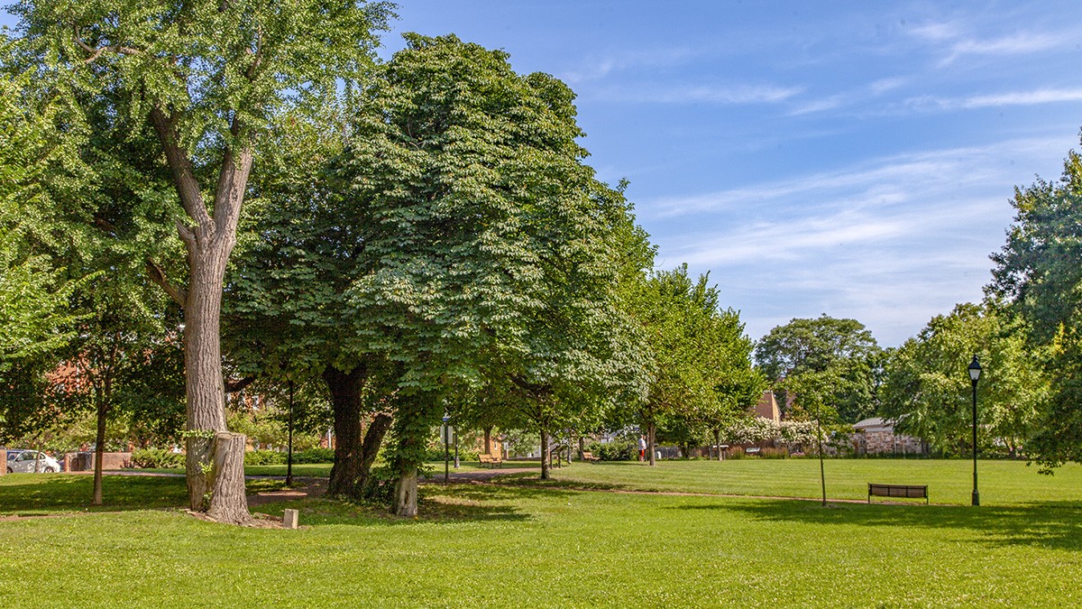 St. Mary's Park-Baltimore | TCLF