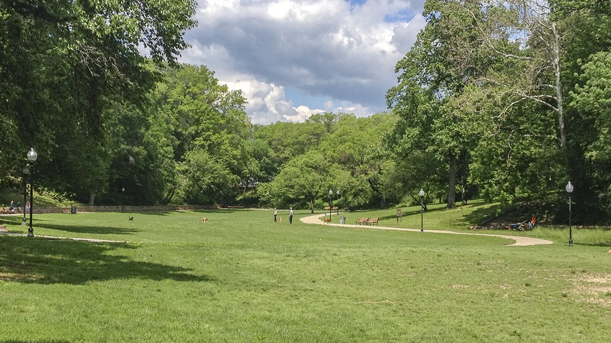 Wyman Park Dell | TCLF