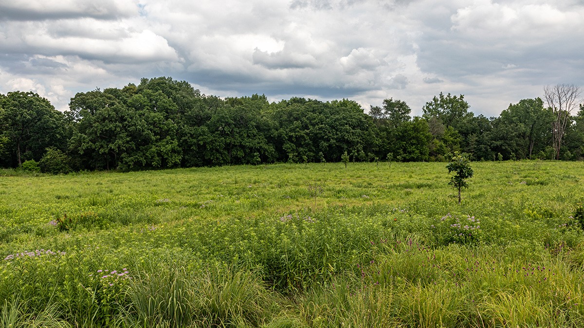 Coldwater Spring / Fort Snelling | TCLF