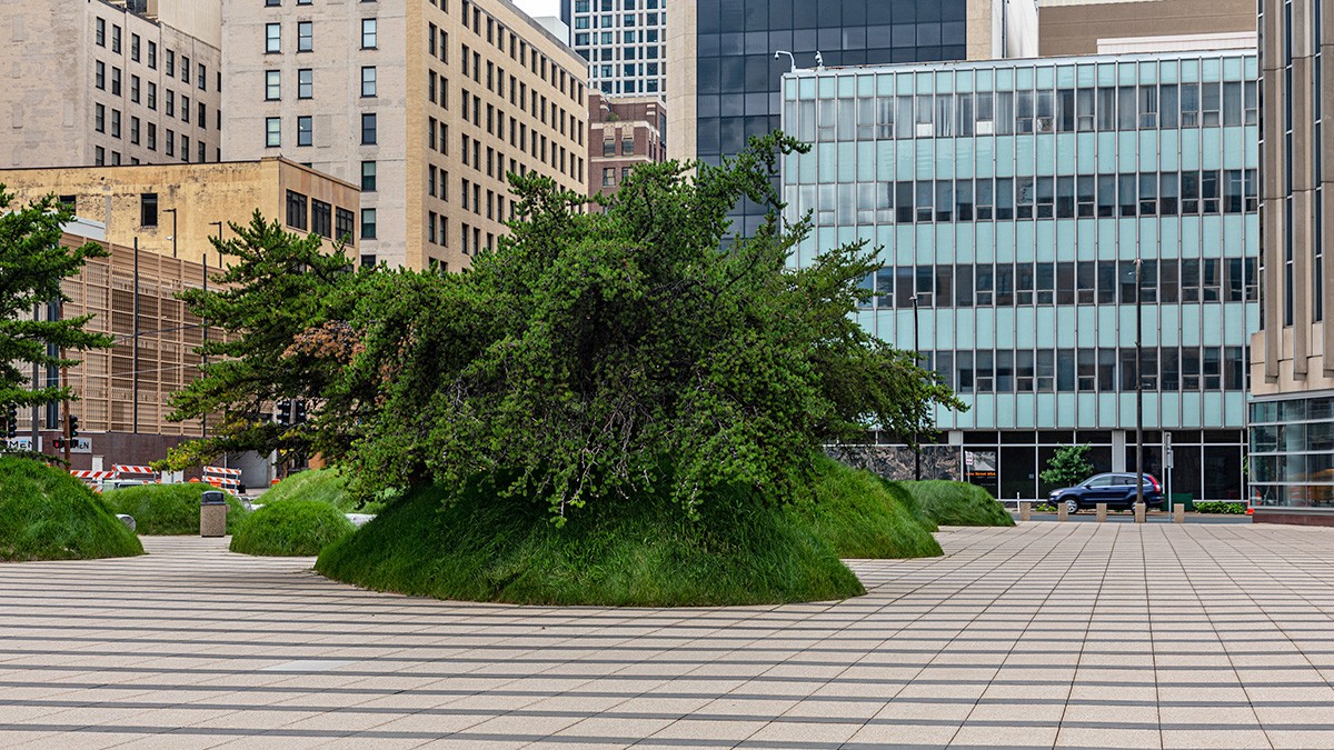 Federal Courthouse Plaza | TCLF