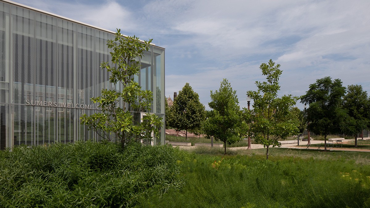 Washington University in St. Louis - East End & Tisch Park | TCLF