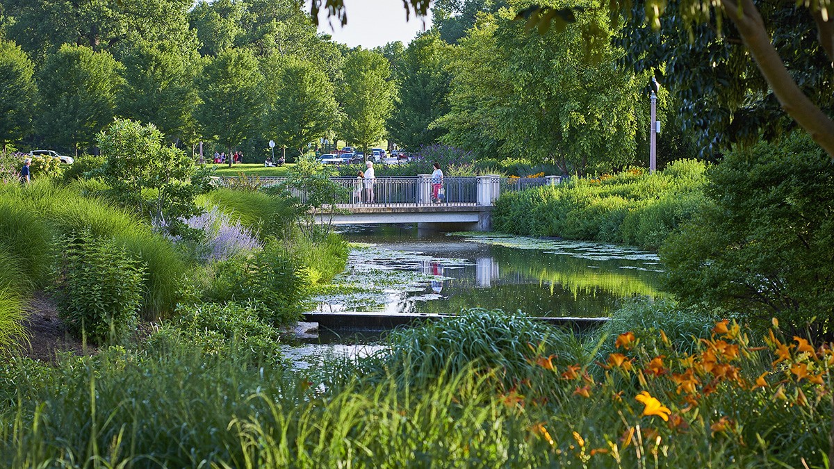 Shlomo Aronson | TCLF