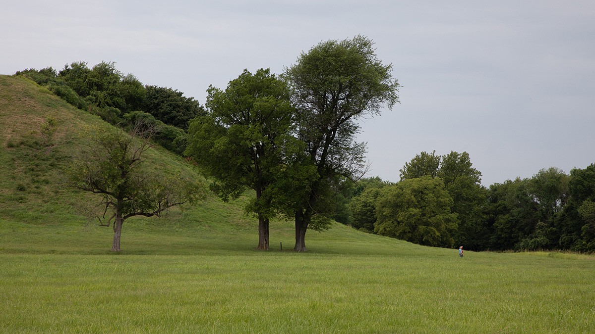 Mitchell Park | TCLF