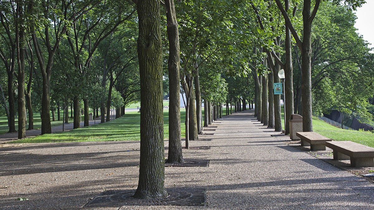 green arch devonport
