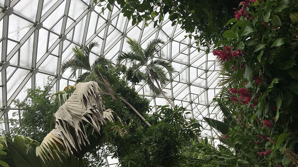 Missouri Botanical Garden - Climatron | TCLF