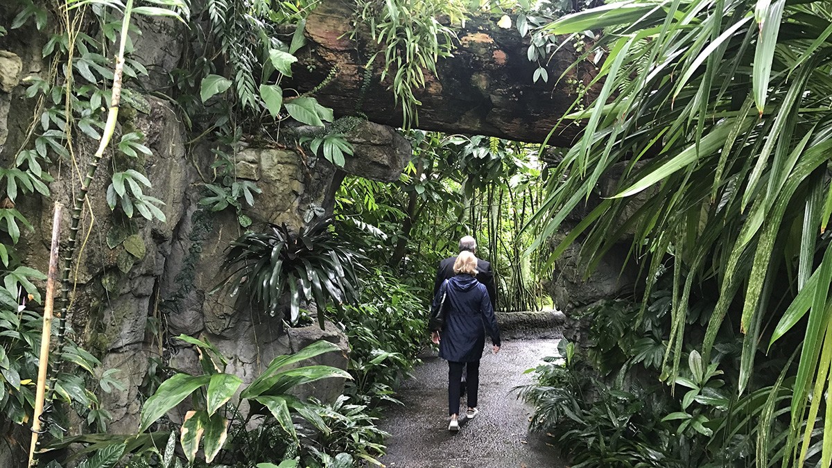 Missouri Botanical Garden - Climatron | TCLF