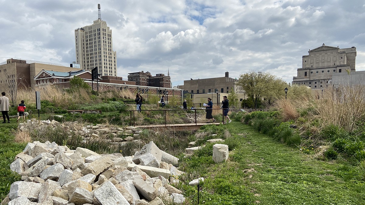 Pulitzer Arts Foundation | TCLF