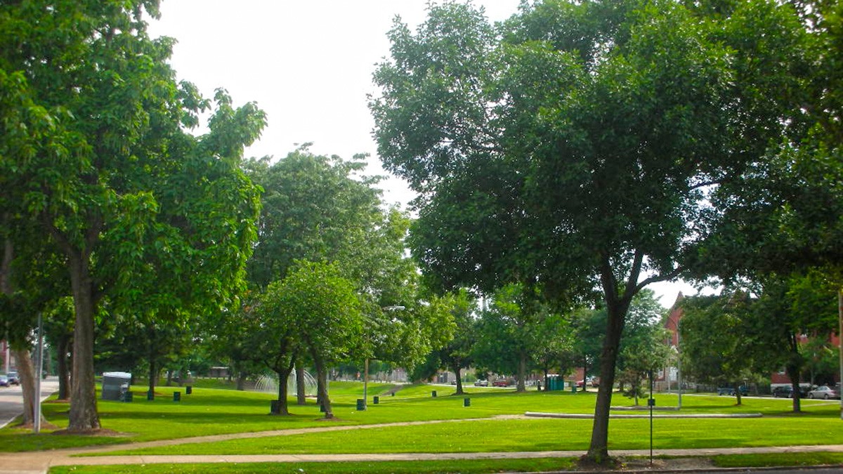 St. Louis Place | TCLF