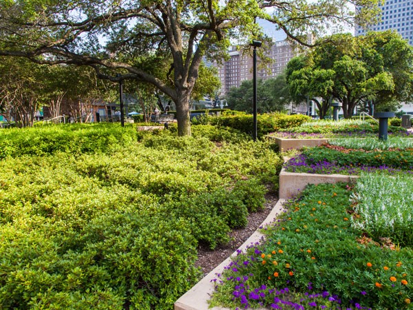 Market Square Park | TCLF