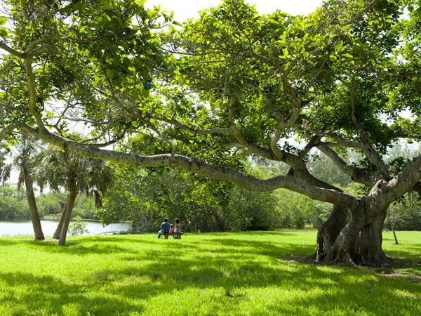 Matheson Hammock Park | TCLF Matheson Hammock Park | TCLF