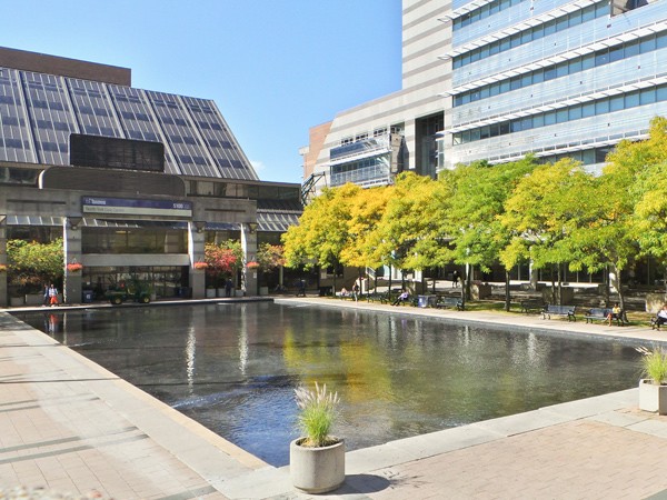 Mel Lastman Square | TCLF