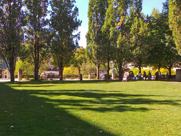 Mel Lastman Square | TCLF