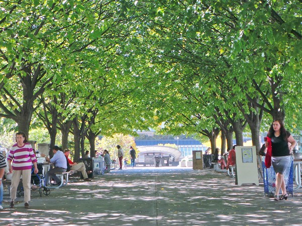 Mel Lastman Square | TCLF