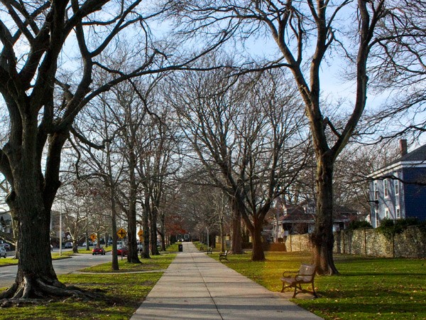 Memorial Boulevard | TCLF