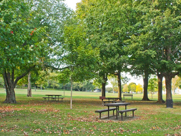 Miantonomi Memorial Park | TCLF