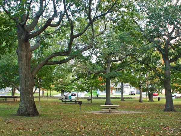 Miantonomi Memorial Park | TCLF