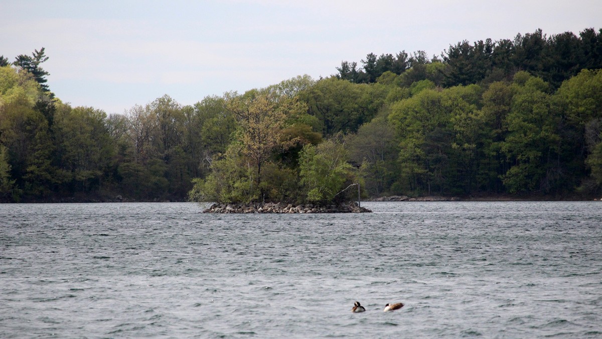 Middlesex Fells Reservation | TCLF