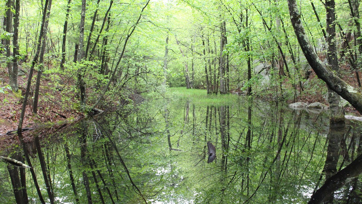 Middlesex Fells Reservation | TCLF