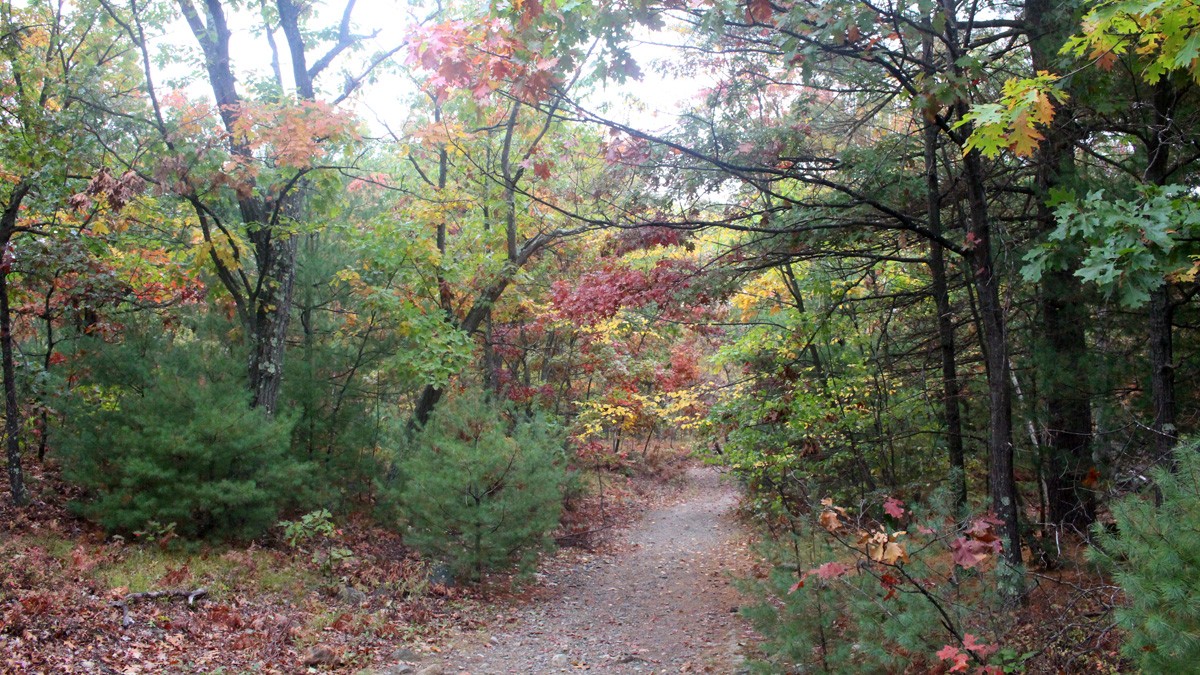 Middlesex Fells Reservation | TCLF
