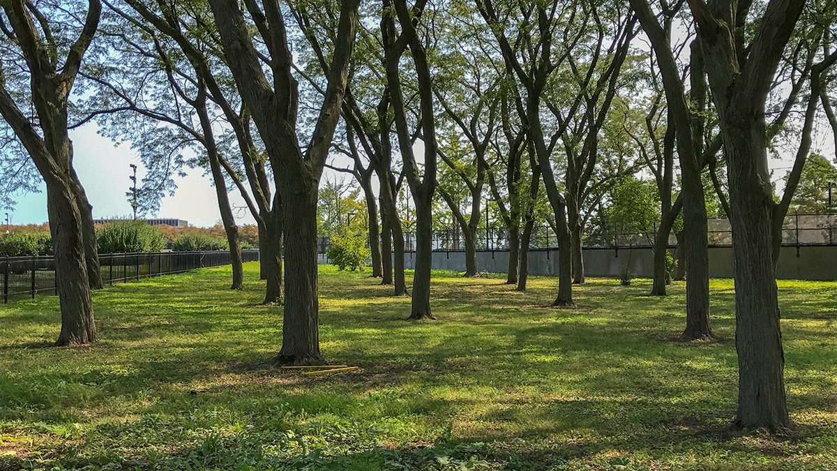 Milton Lee Olive Park | TCLF