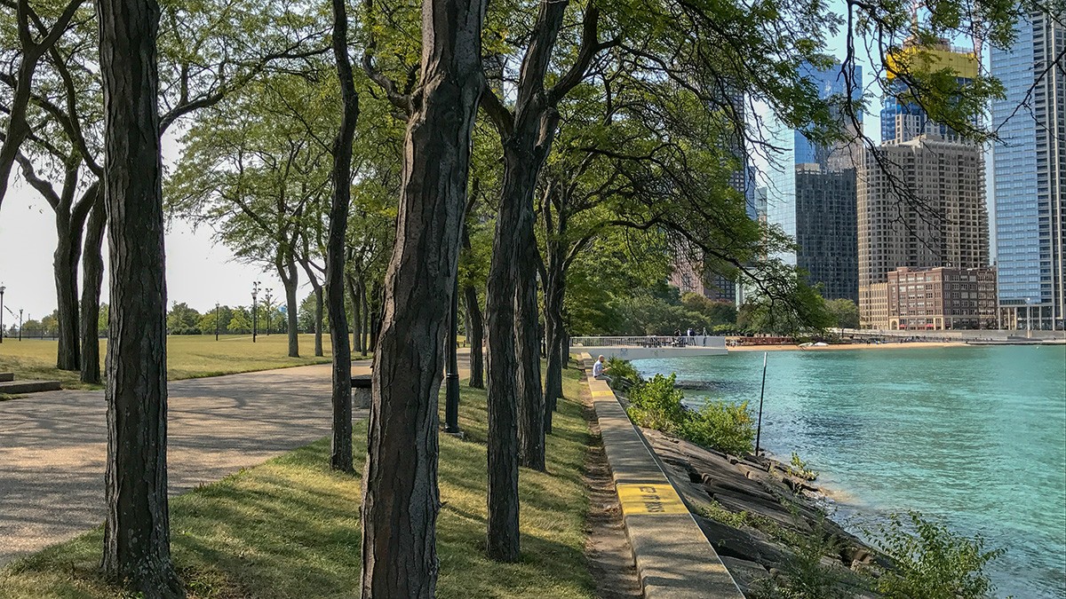 Milton Lee Olive Park | TCLF