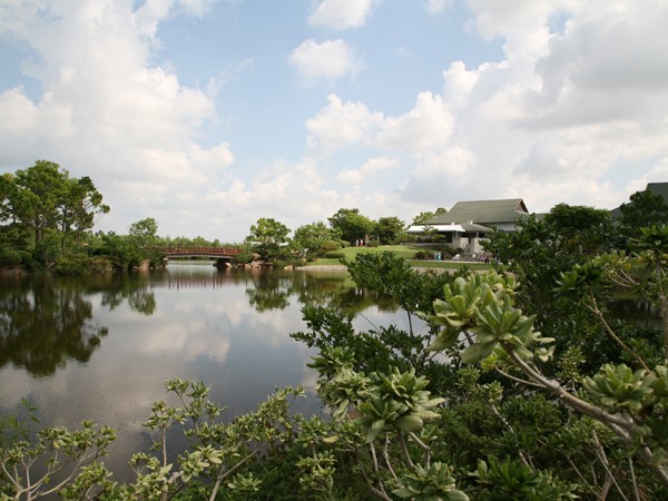 Morikami Museum and Japanese Gardens | TCLF