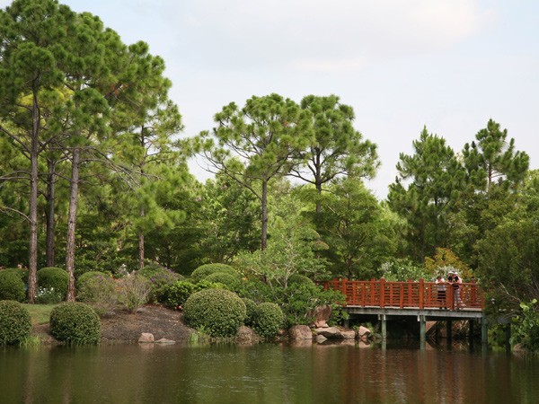 Morikami Museum and Japanese Gardens | TCLF