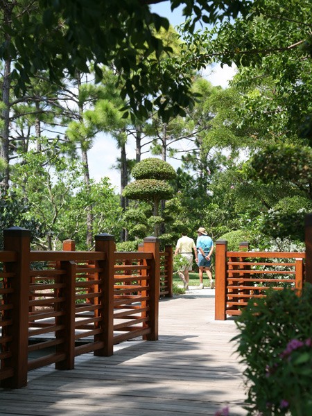 Morikami Museum and Japanese Gardens | TCLF