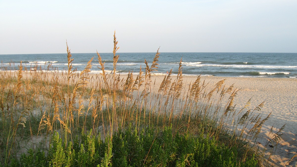 Cape Hatteras National Seashore | TCLF