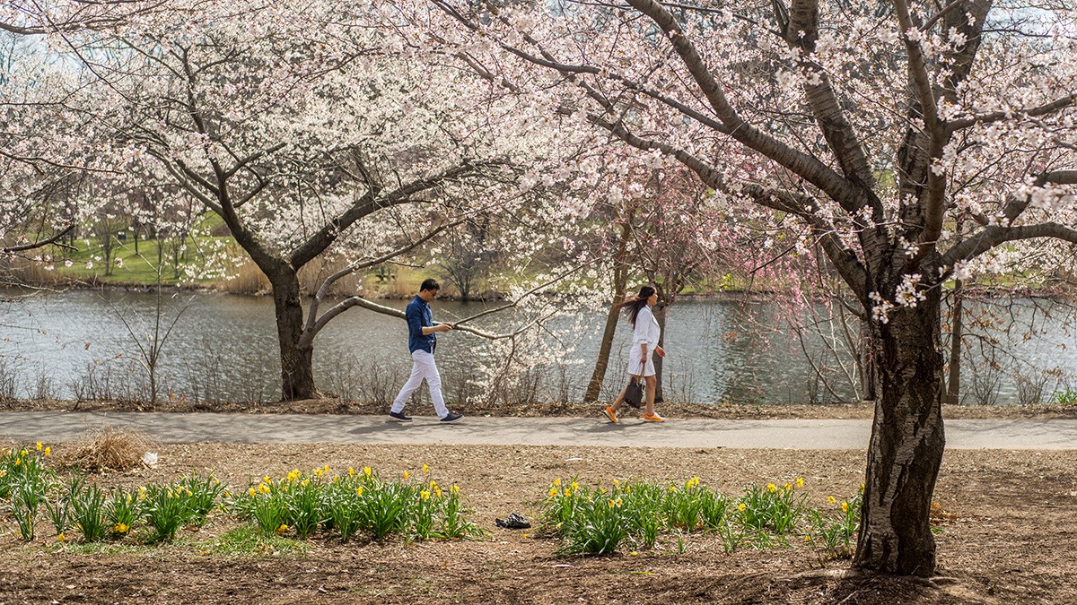Branch Brook Park | TCLF