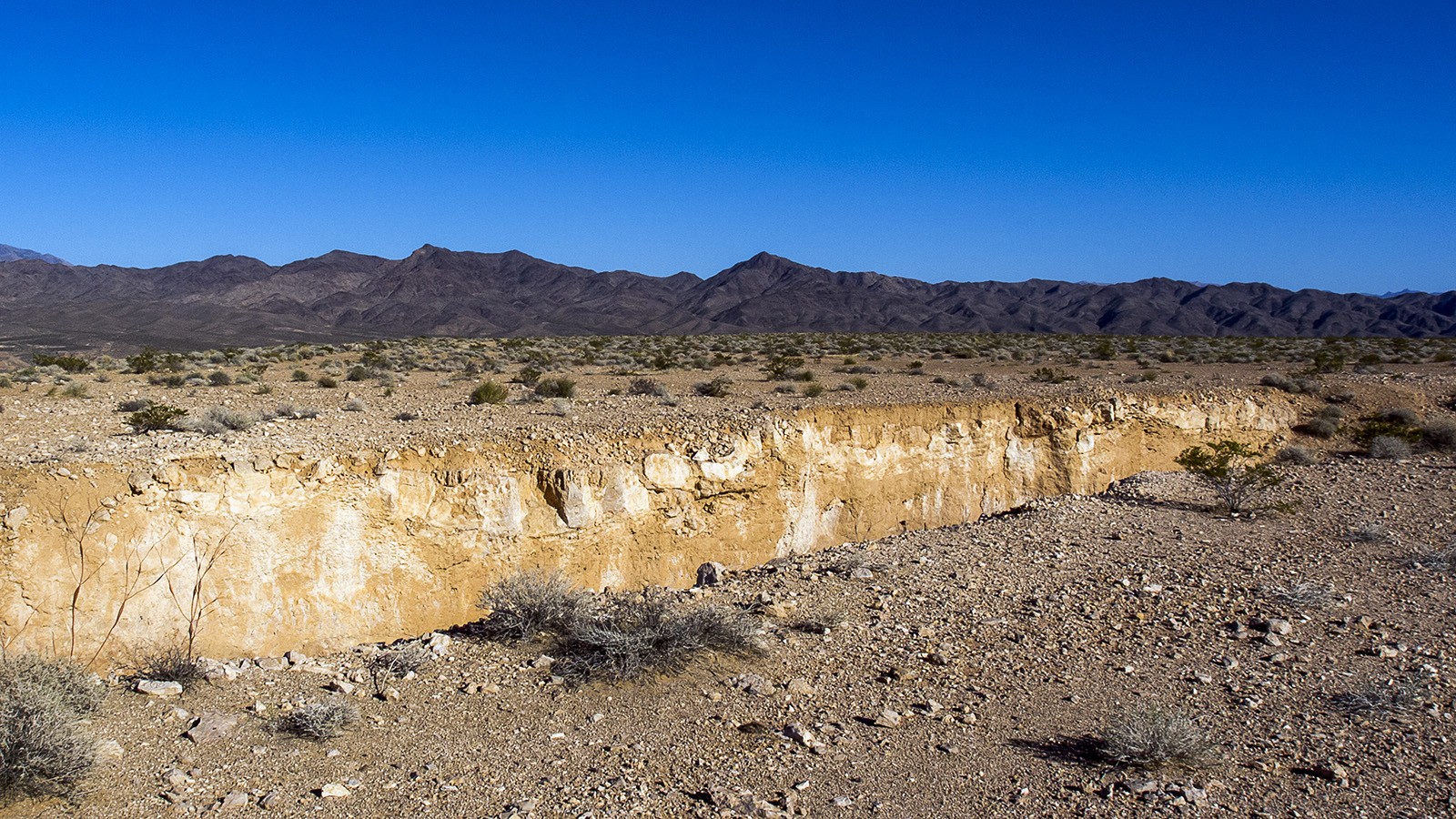 Michael Heizer | TCLF