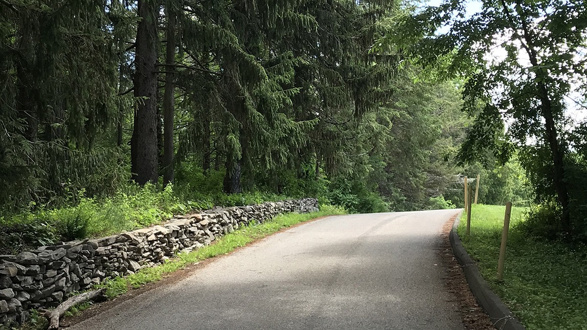 Eleanor Roosevelt National Historic Site | TCLF