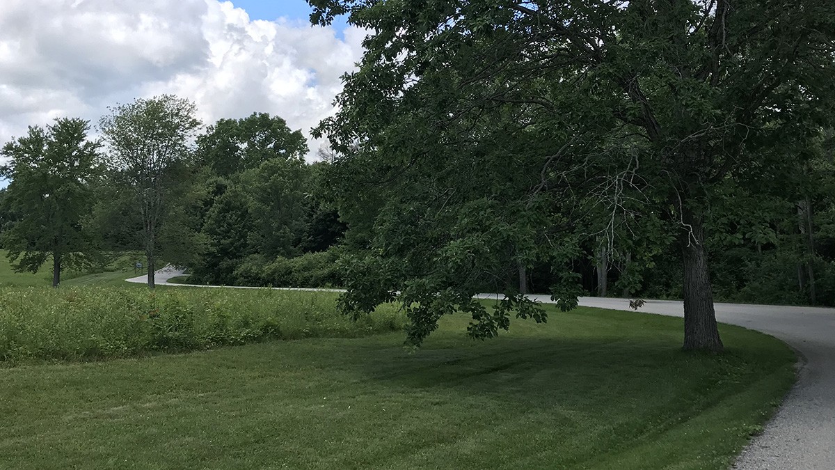 Eleanor Roosevelt National Historic Site | TCLF