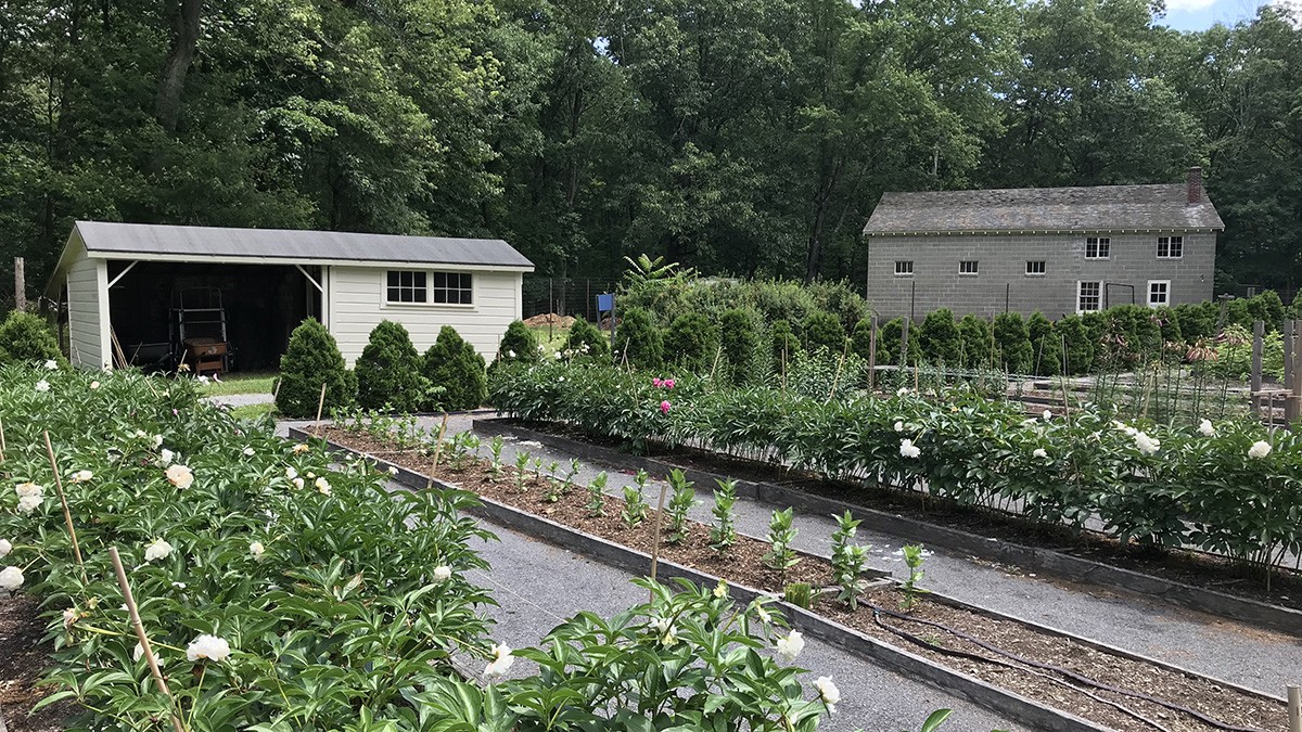 Eleanor Roosevelt National Historic Site | TCLF