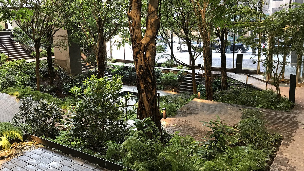 Ford Foundation Atrium | TCLF