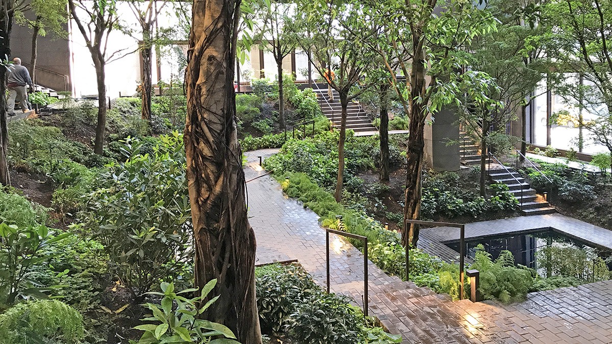 Ford Foundation Atrium | TCLF