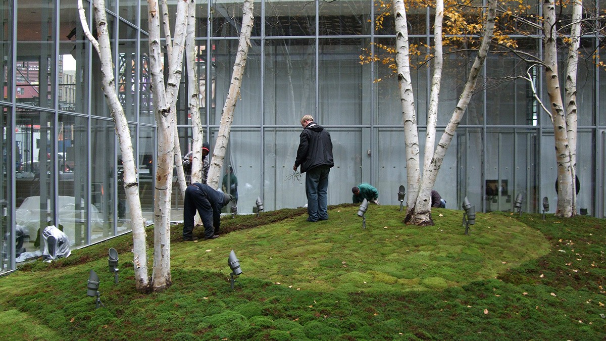 New York Times Building Lobby Garden | TCLF