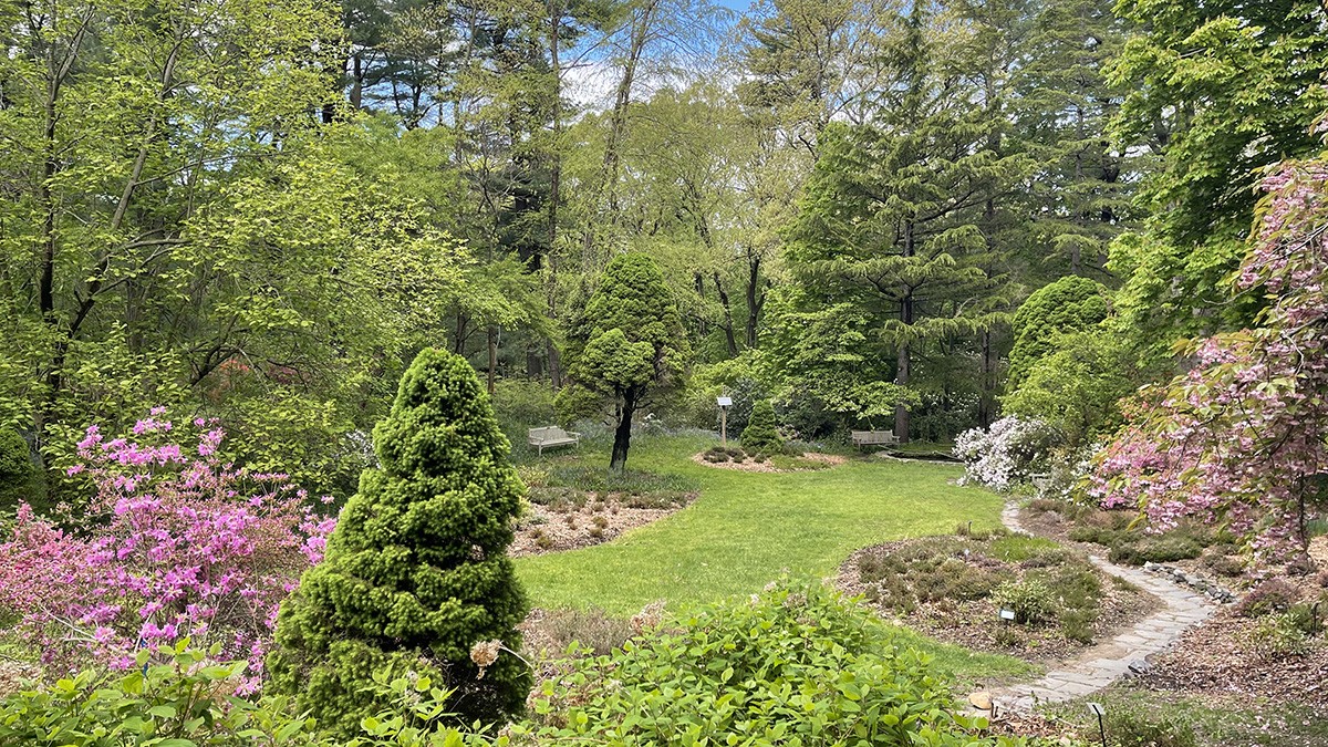 Planting Fields Arboretum State Historic Park | TCLF