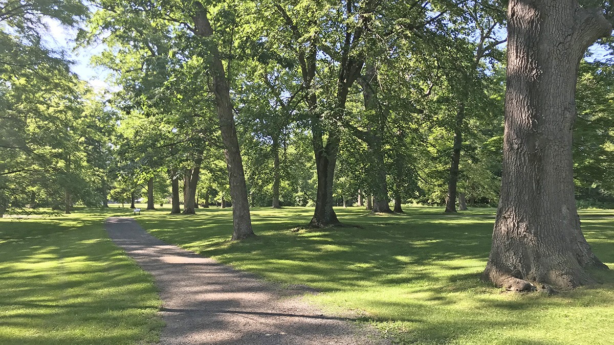 Alexander Gilson | TCLF