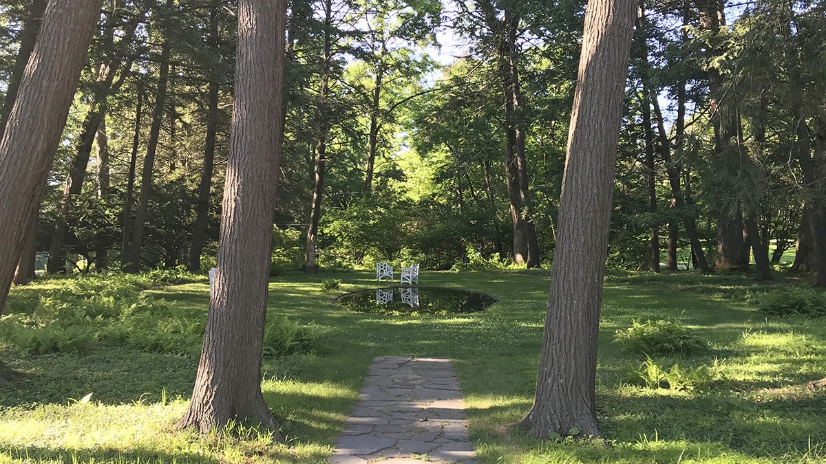 Alexander Gilson | TCLF