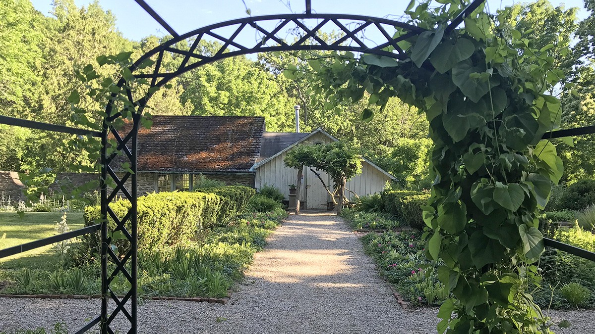 Alexander Gilson | TCLF