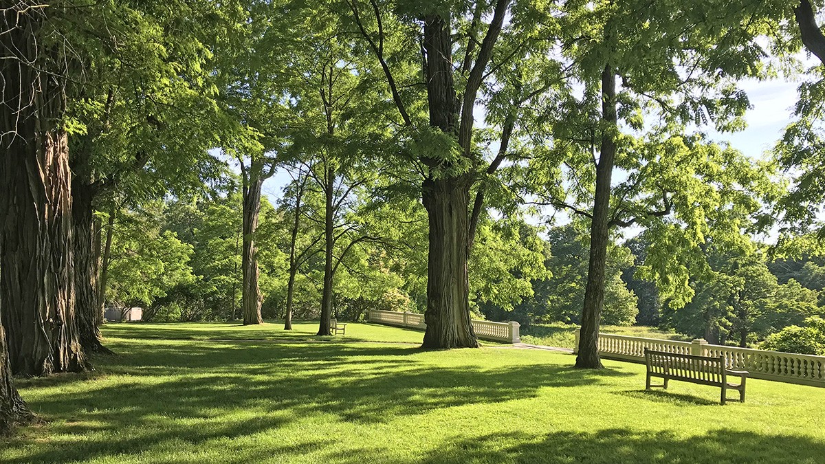 Andrew Jackson Downing | TCLF