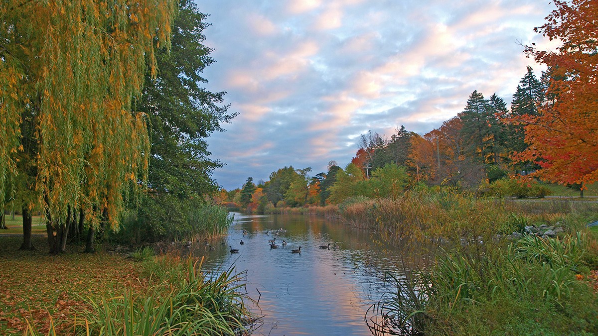 Rochester Parks System | TCLF