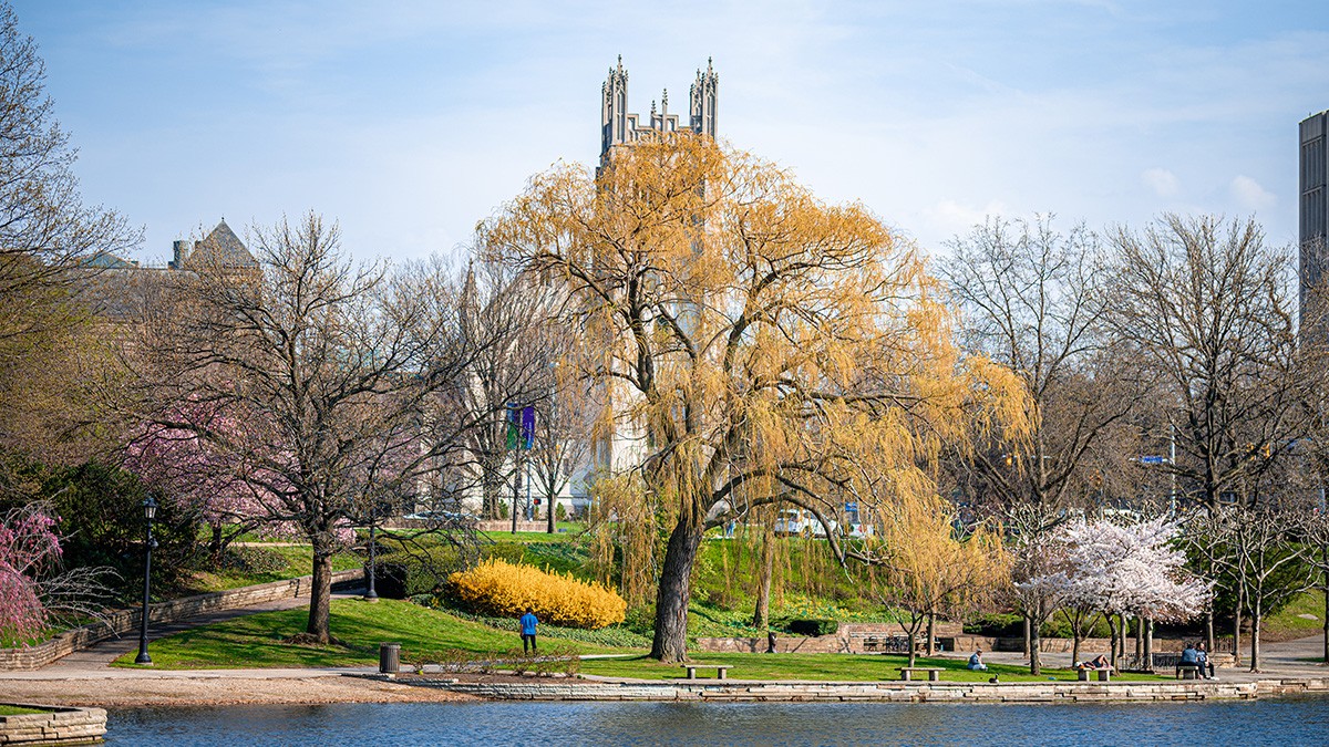 Wade Park | TCLF