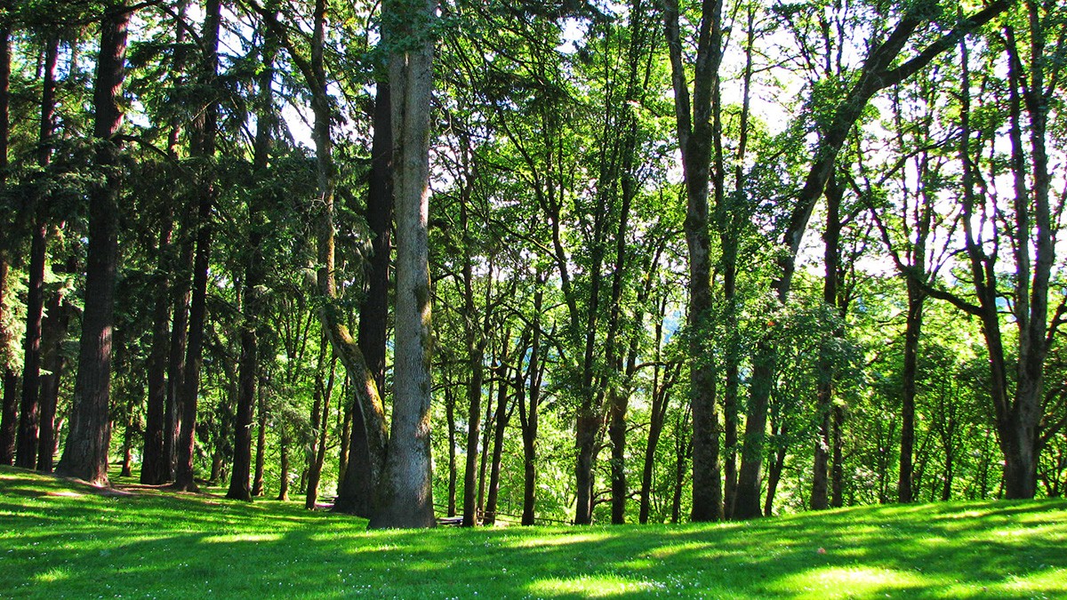 Portland Park System | TCLF