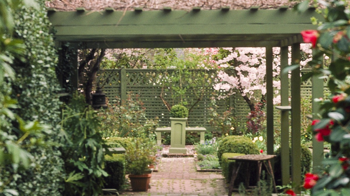 Gaiety Hollow | TCLF