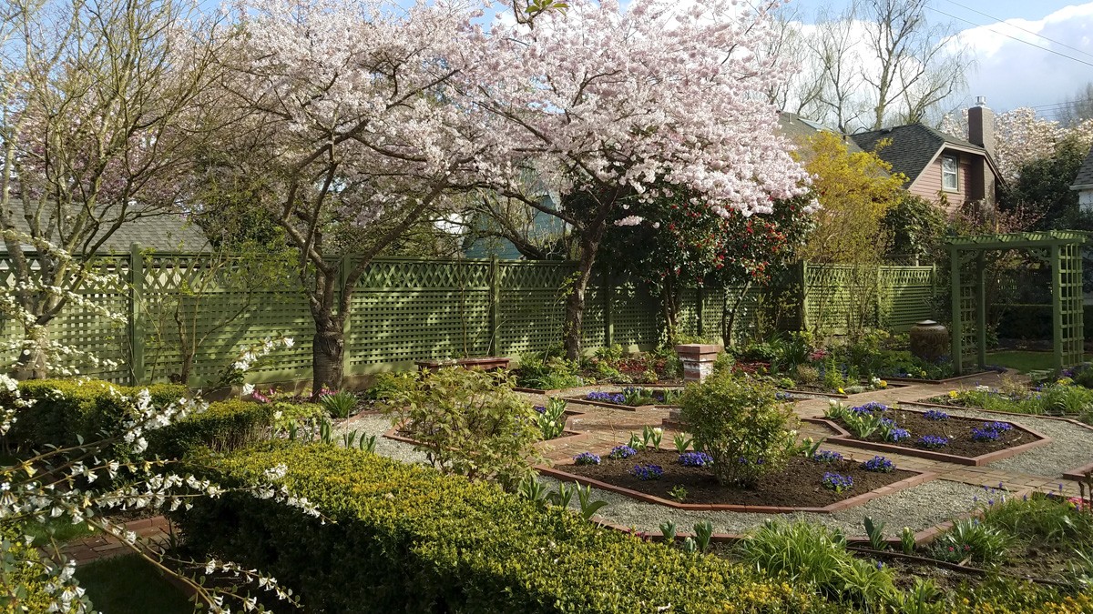 Gaiety Hollow | TCLF