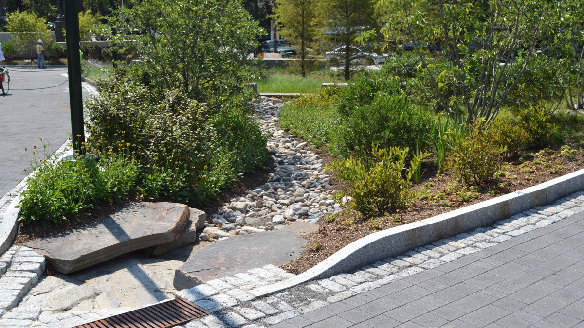 Sir Peter Shepheard | TCLF